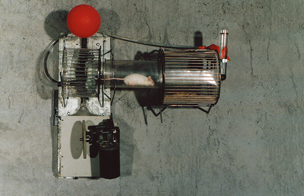 "Mouse Wheel"- France Cadet